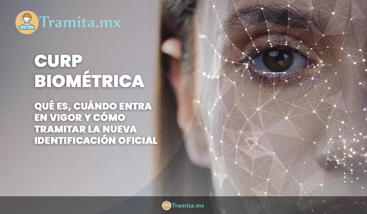 CURP biométrica: qué es, cuándo entra en vigor y cómo tramitar la nueva ...